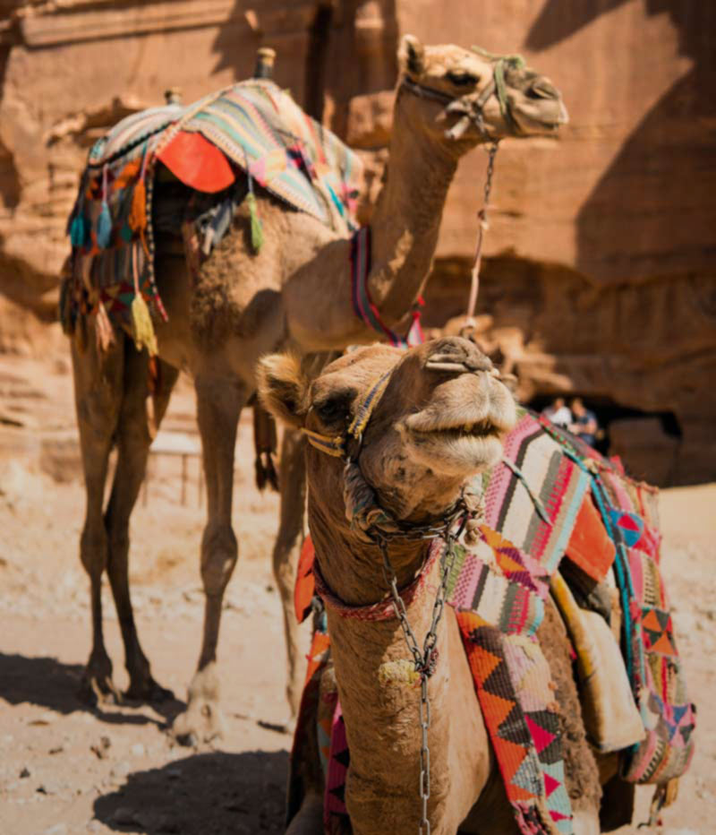 Egypt Tour – Arias Glamping